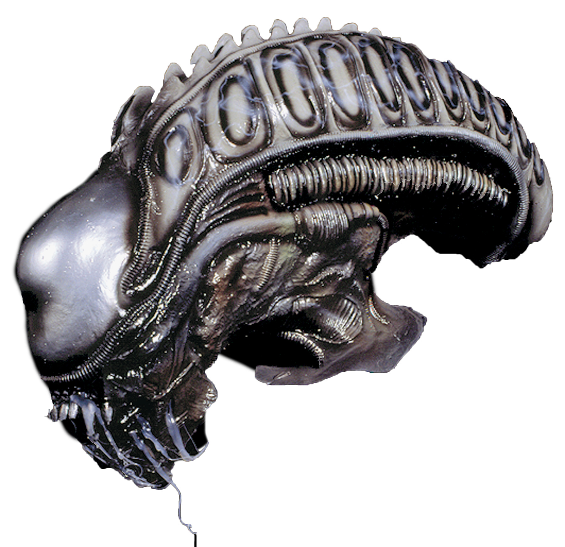 Alien Head Collector Mask - CostumePub.com