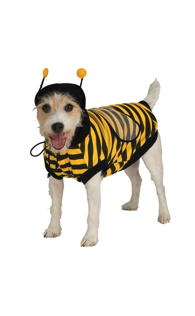 Pet Bumblebee Costume - CostumePub.com