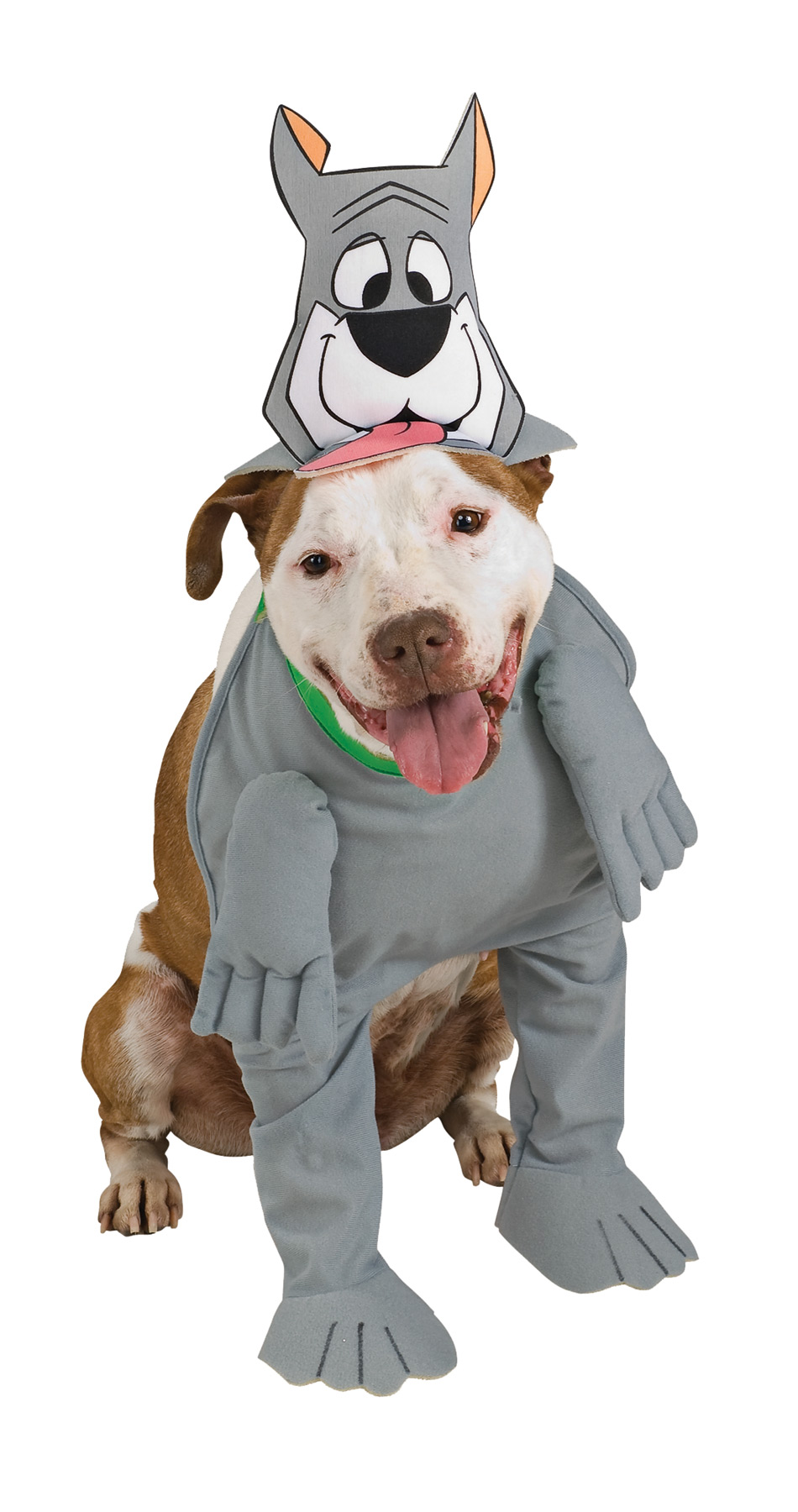 Astro Pet Costume - CostumePub.com