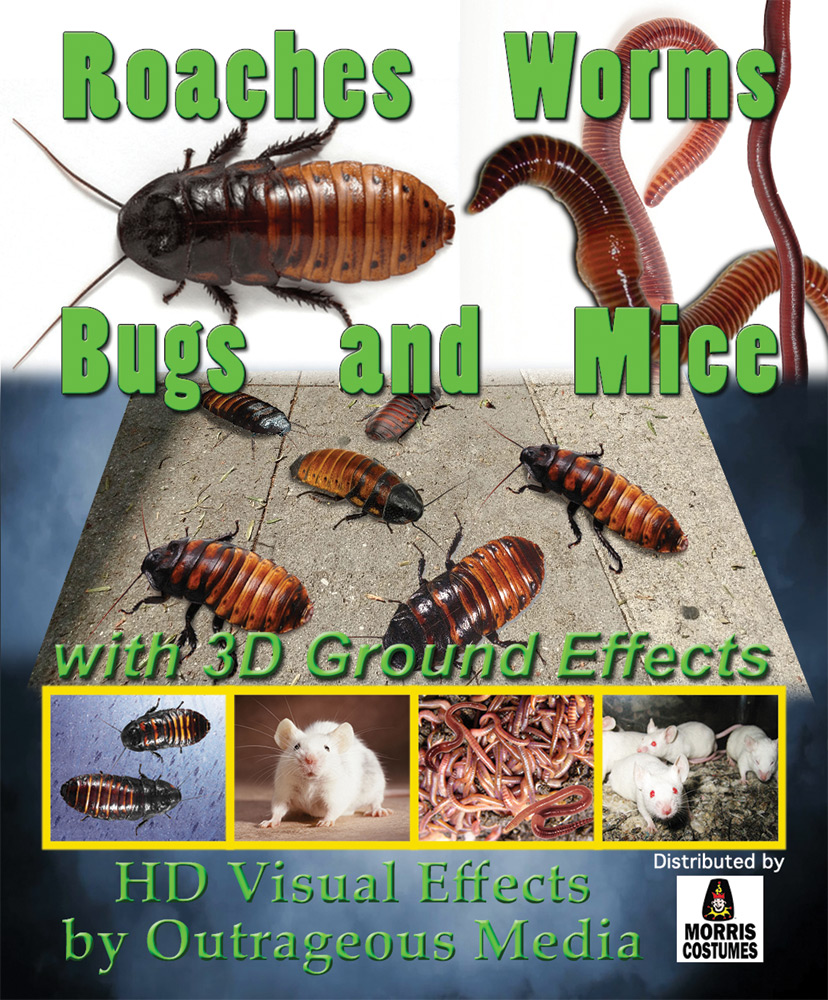 ROACHES WORMS BUG MICE DIG DEC - CostumePub.com
