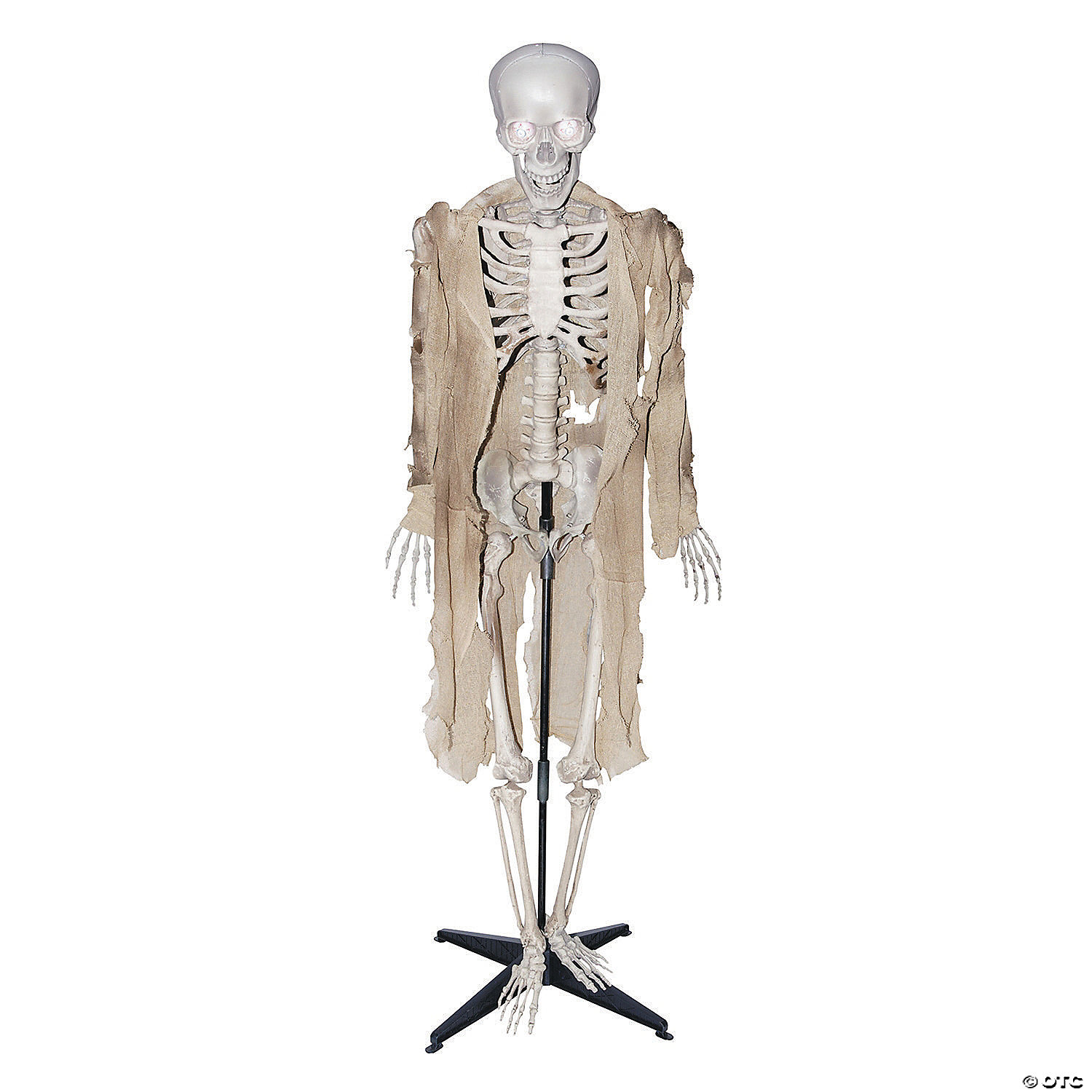 Talking Skeleton - CostumePub.com